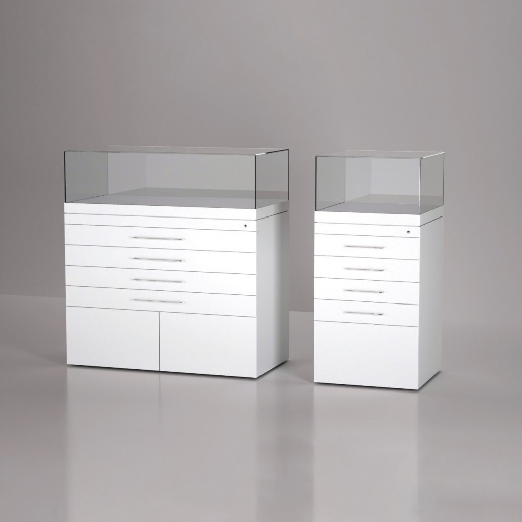 Standard and Bespoke Museum Display Cases